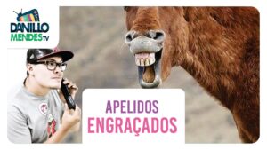 Top 20 apelidos engraçados para chamar seus amigos e divertir-se ...